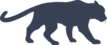 Pretty Female Lion Sticker - Fast Shipping & No Minimums