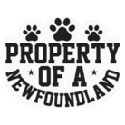Property Of Newfoundland Sticker
