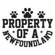 Property Of Newfoundland Sticker