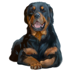 Propper Rottweiler Sticker