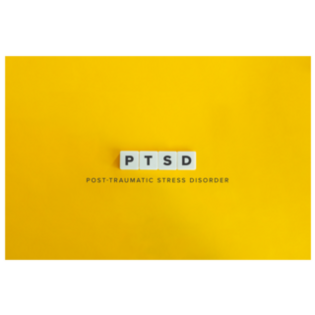 PTSD Awareness Stickers