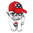 Pug With A Red Hat Sticker
