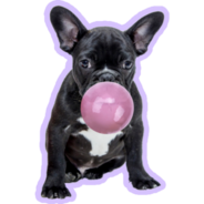 Purple Gum French Bulldog Sticker