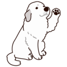 Pyr Paw Sticker