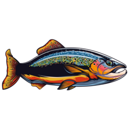 Rainbow Trout Color Sticker