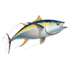 Realistic Yellowfin Tuna In Fast Motion Sticker