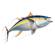 Realistic Yellowfin Tuna In Fast Motion Sticker