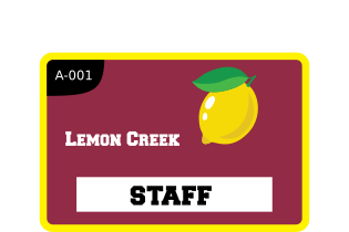 Custom Rectangle Parking Permit Stickers | Car Stickers