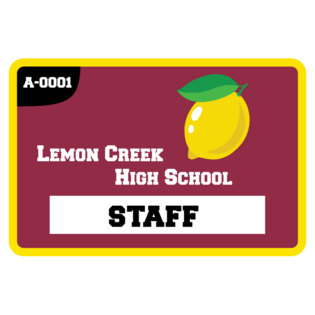 Custom Rectangle Parking Permit Stickers | Car Stickers