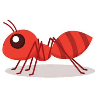 Fun Ant Car Stickers & Decals – No Minimum Order Requirements