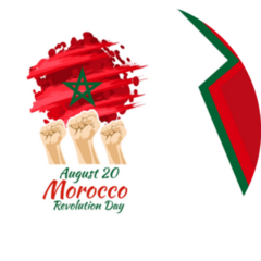Revolution Day Of Morocco Illustration Sticker