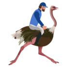 Riding Ostrich Man
