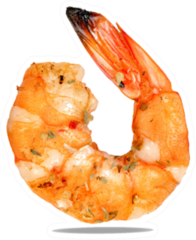 Roasted Peeled Prawn Isolated On White Sticker