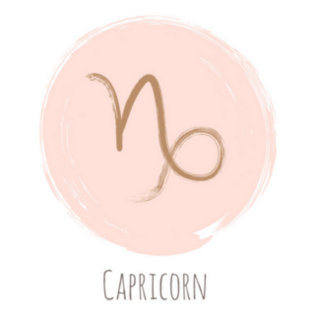 Capricorn Zodiac & Astrology Stickers & Car Decals