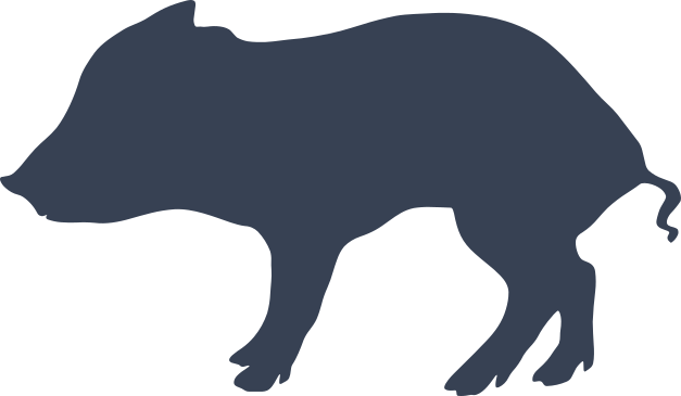 Vibrant, High-Quality Scared Pig Stickers