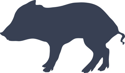 Vibrant, High-Quality Scared Pig Stickers