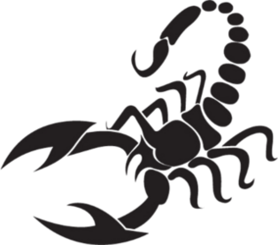 Cool Scorpion Car Decals & Stickers | Car Stickers