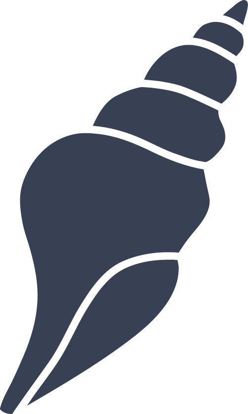 Order Your Seashell Conch Sticker Today - Free Shipping!