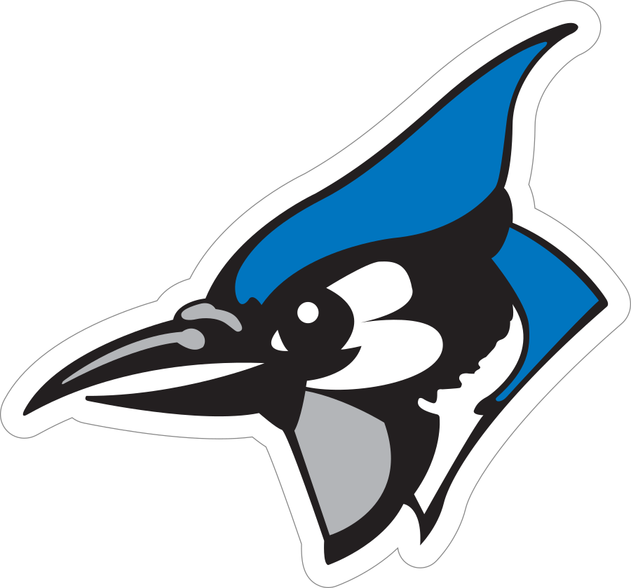 Order Your Serious Blue Jay Head Sticker Today - Free Shipping!