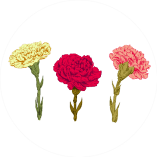 Carnation Flower Stickers and Decals