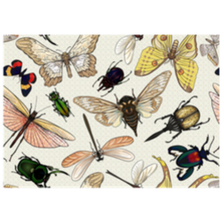 Set Of Insects: Beetles, Butterflies, Moths Sticker