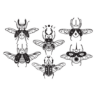 Set Of Stylized Magic Beetles Sticker