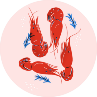 Shrimp Vinyl Stickers & Decals for Sale | Car Stickers