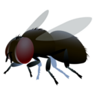 Single Dirty Brown Fly Sticker