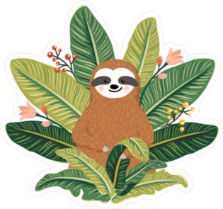 Adorable Sloth Stickers & Car Decals | Dozens of Designs