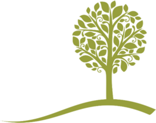 Oak Tree Car Stickers and Decals