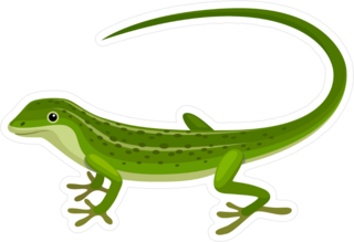 Smooth Lizard Sticker