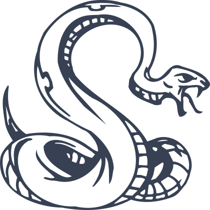 Snake Stickers & Car Decals – Cool, Detailed Designs