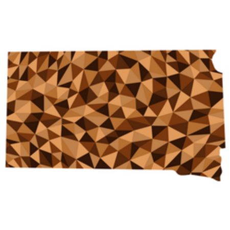 South Dakota U.s. State Polygonal Map Sticker