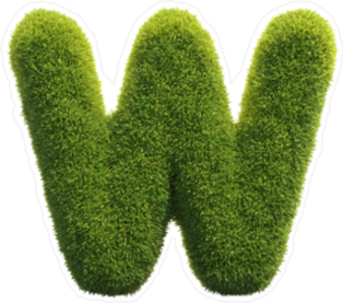 Alphabet Letter Stickers | Small & Large Letter Decals