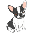 Spotted Frenchie Sitting Sticker