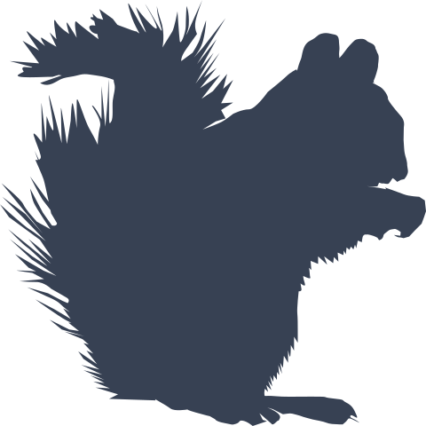 Order Your Squirrel With Fuzzy Tail Sticker Today - Free Shipping!