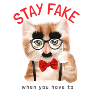 Cat Stickers & Car Decals - Cute & Funny Cat Art