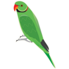 Stunning Parakeet Sticker