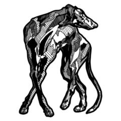 Stylized Whippet Sticker