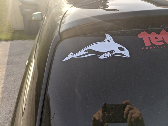 Whale Car Stickers & Decals – Killer Whales, Blue Whales & More