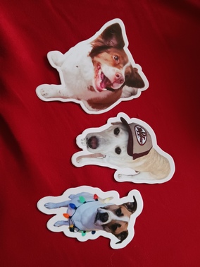 Custom Dog Stickers - Make a Sticker of Your Dog Photo