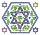 The Symbol Sign Of Israel And Judaism - David Star- Detailed Sticker