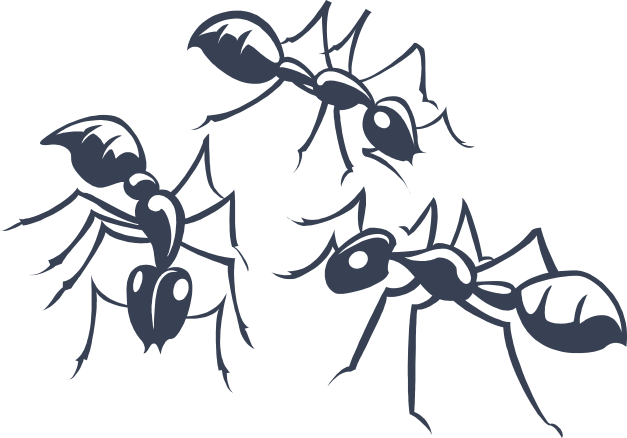 Three Detailed Ants Sticker - 50+ Colors!