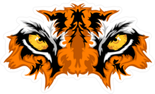 Tiger Car Stickers & Decals | Tiger Bumper Stickers