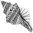 Tribal Sea Cockleshell Sticker