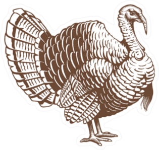 Turkey Decals & Stickers | Wild Turkey Decals | Car Stickers