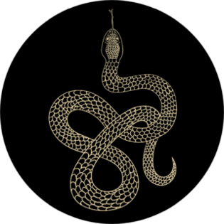 Snake Stickers & Car Decals – Cool, Detailed Designs