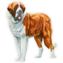 Vintage St. Bernard Sticker