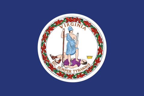 Virginia Va State Flag Sticker Shipped Fast & Free!
