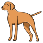 Vizsla Simple Sticker